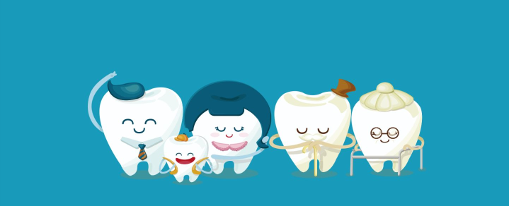 Fun Facts About Teeth - Glorious Dental Materials Co. Ltd.